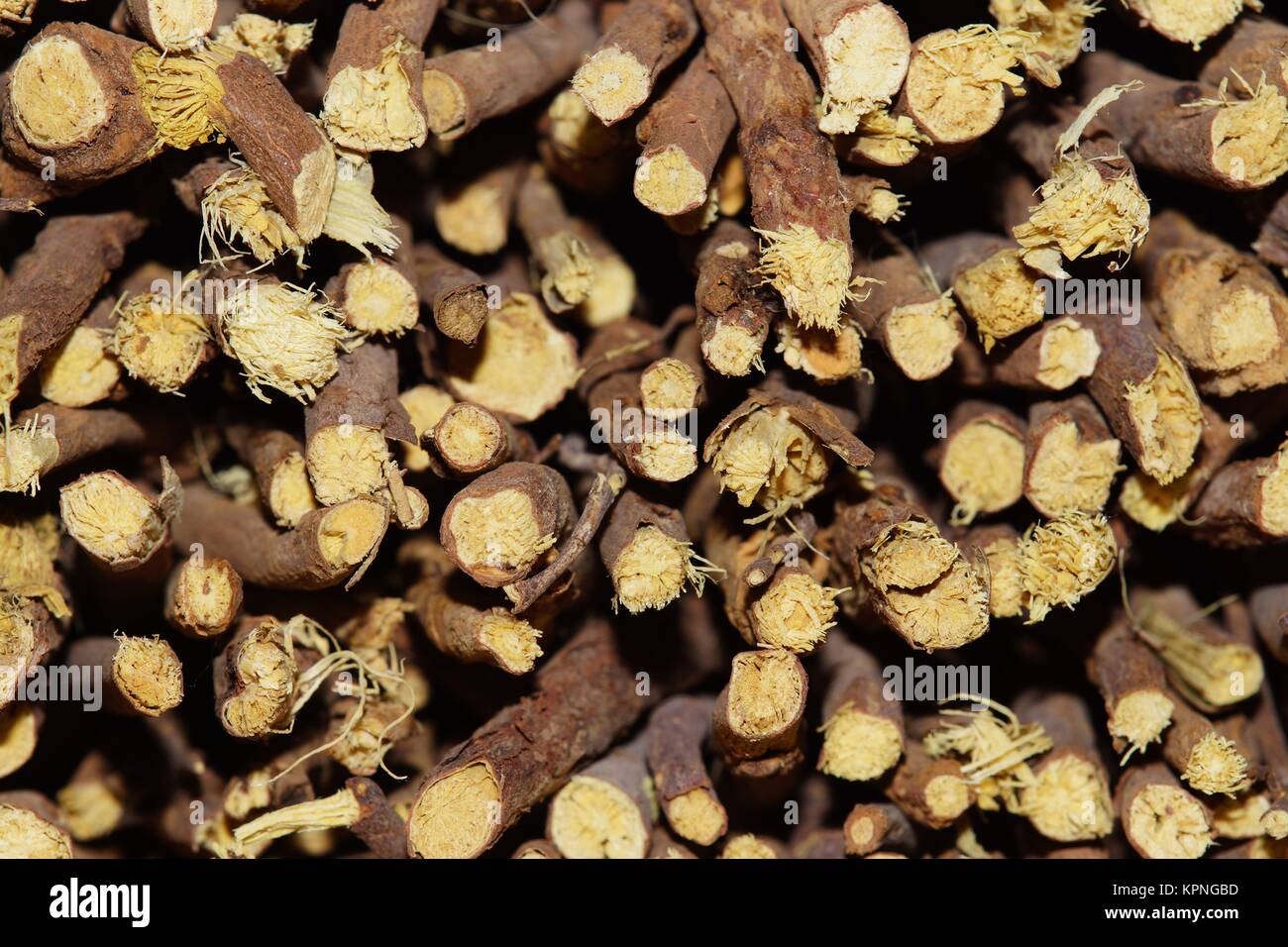 Liquiritiae radix hi-res stock photography and images - Alamy