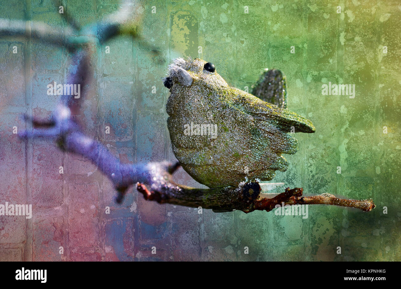 sparrow in front of colorful background Stock Photo - Alamy