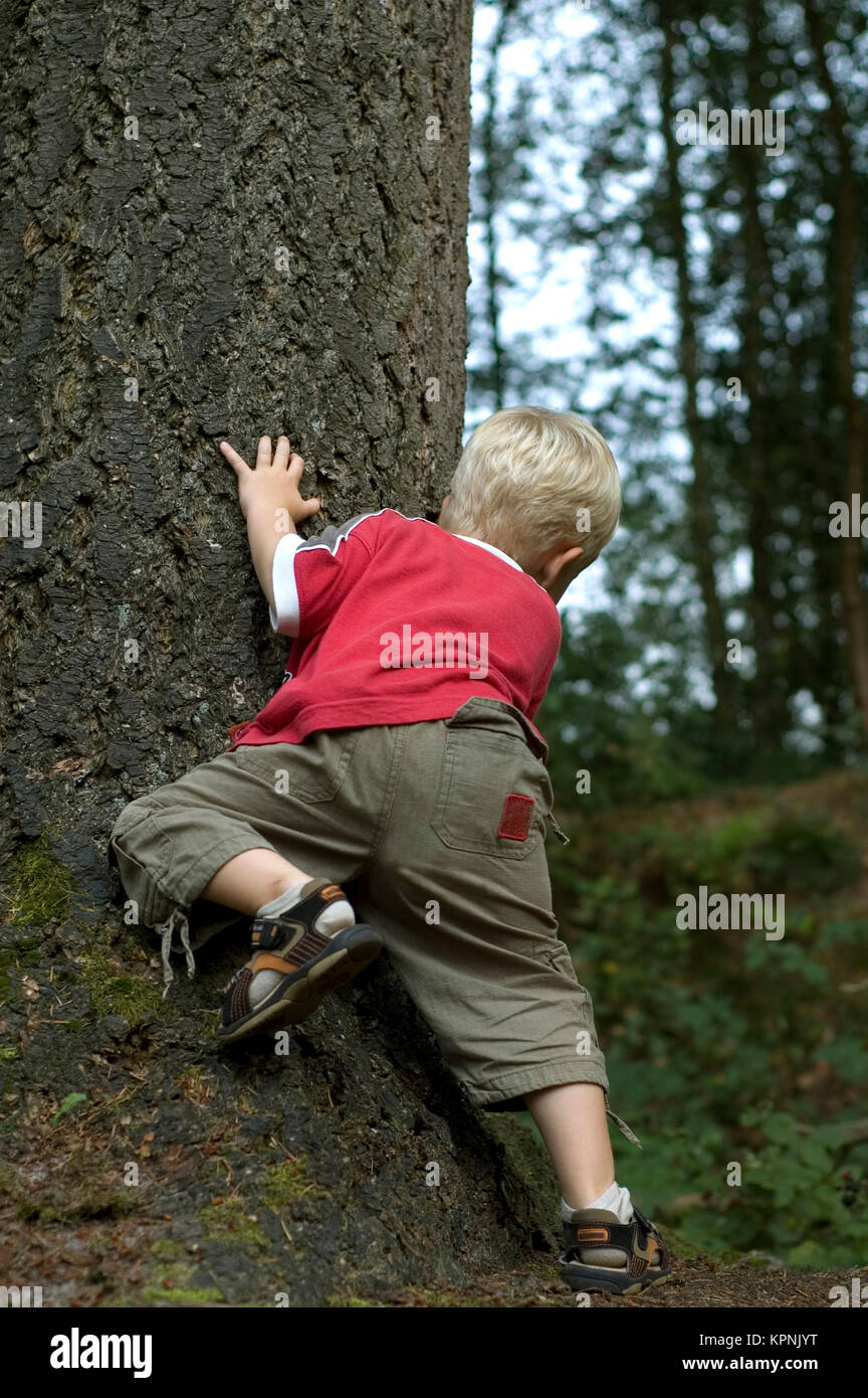 Little boy behind a tree Stock Photo - Alamy