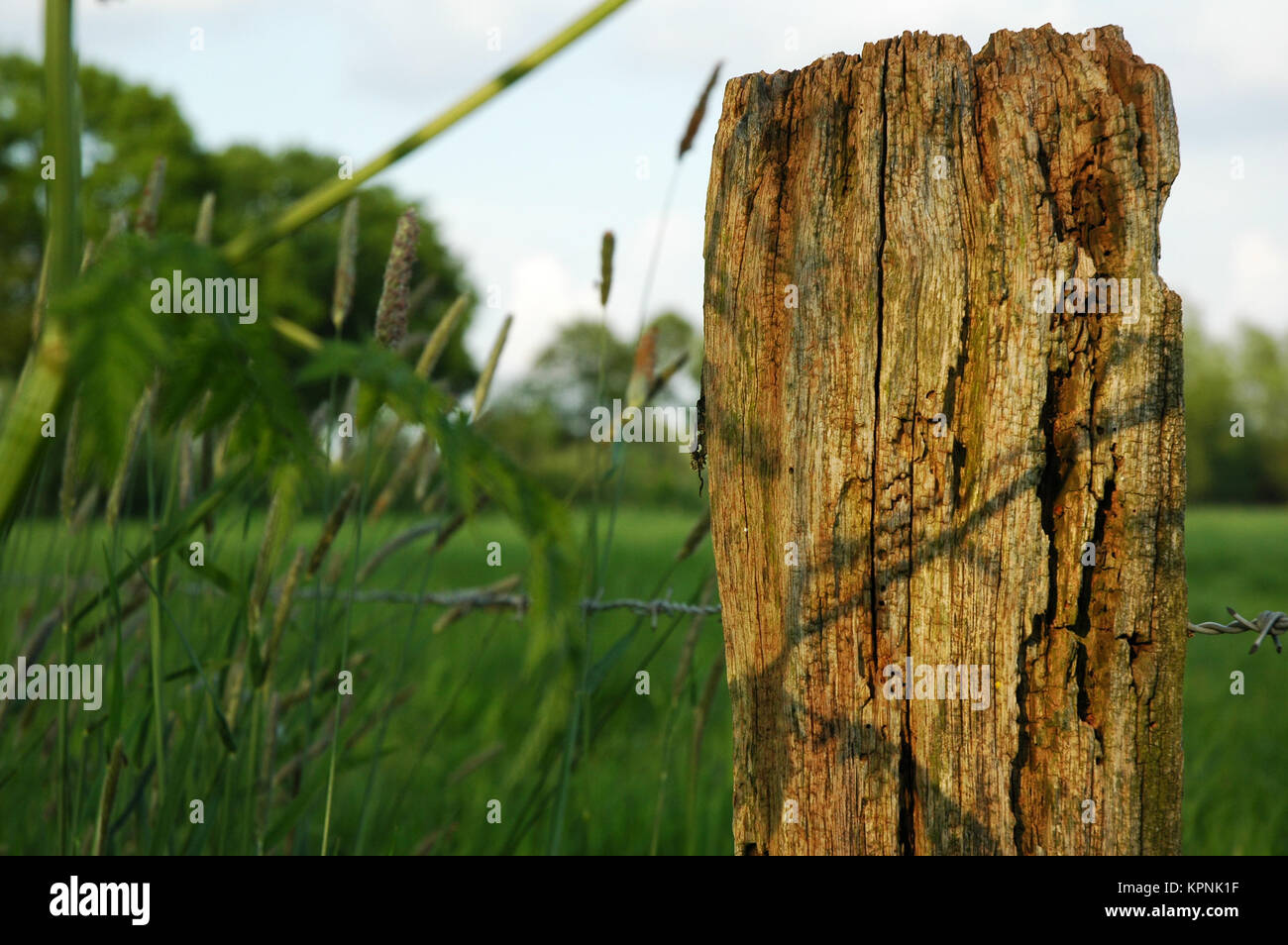 Dutch pole hi-res stock photography and images - Alamy