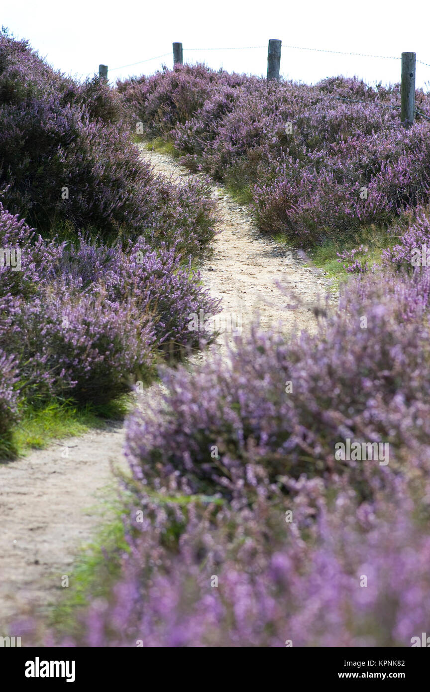 Flourish outside destination hi-res stock photography and images - Alamy