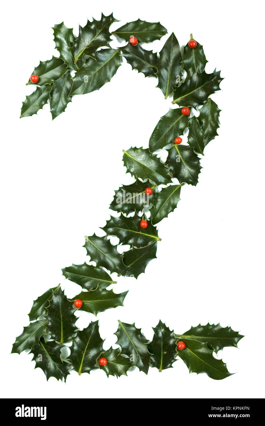 Holly With Berry Number Two Stock Photo - Alamy