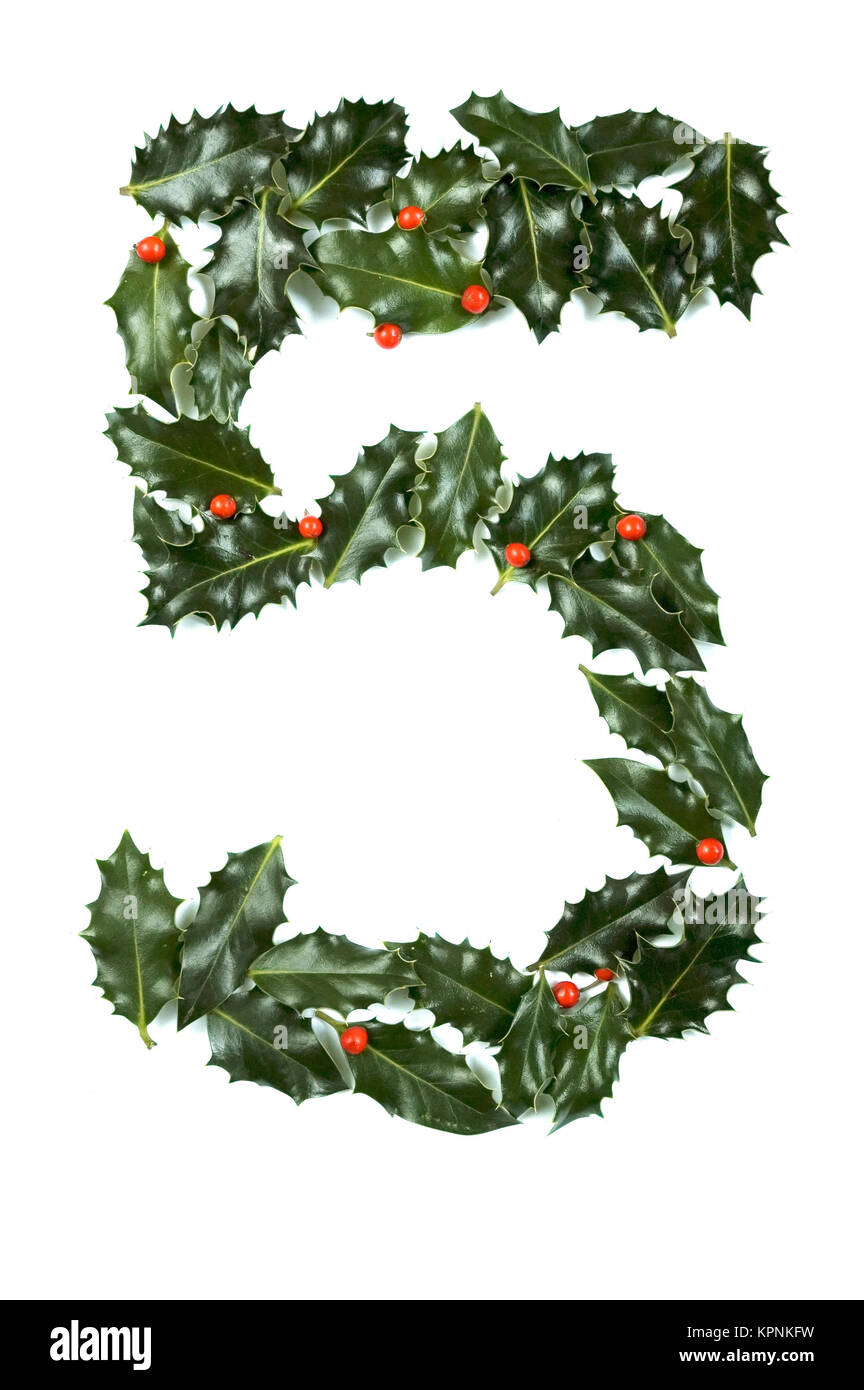 Holly With Berry Number Five Stock Photo - Alamy