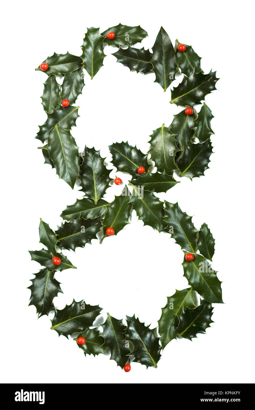 Number eight plant Cut Out Stock Images & Pictures - Alamy