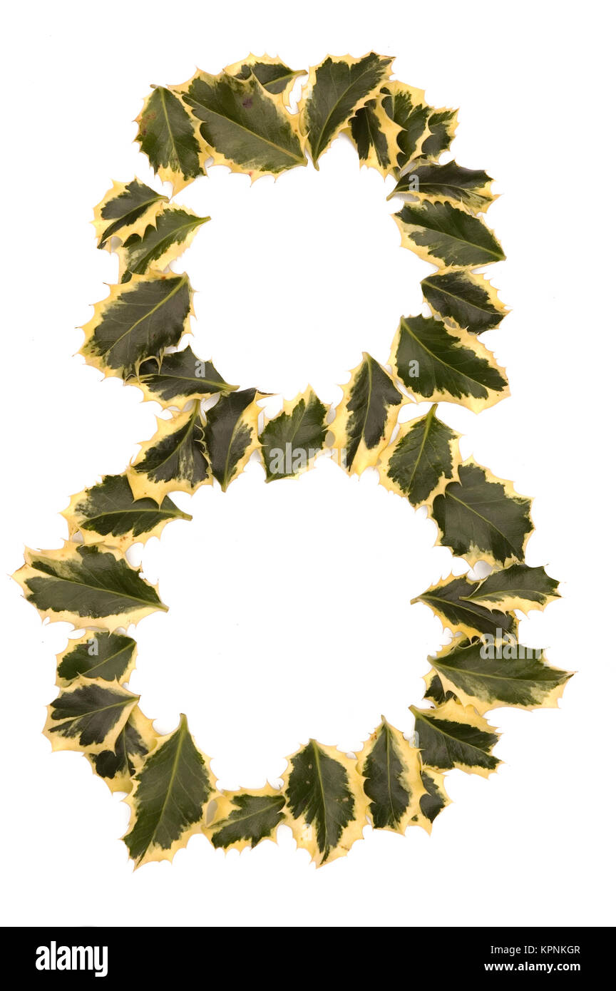 Holly Number Eight Stock Photo - Alamy