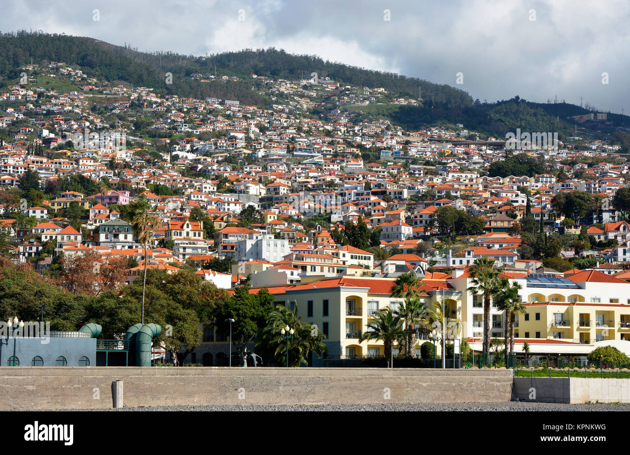 Seafront promenade funchal madeira hi-res stock photography and images ...