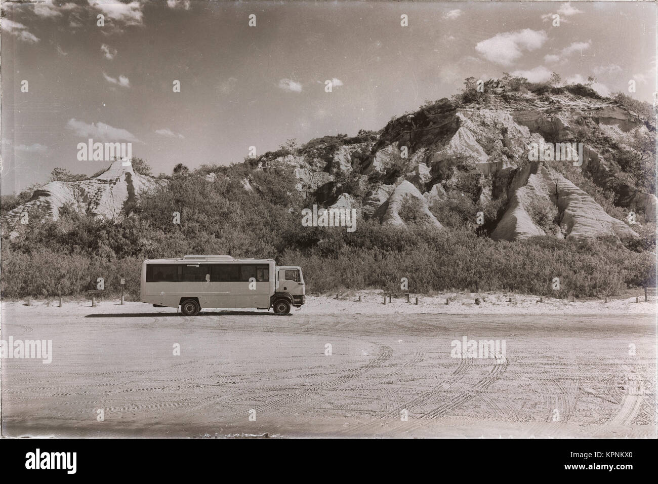 in australia fraser island and the sand track of the bus near the ocean ...