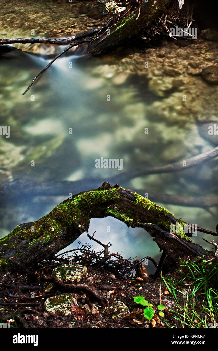 river flows under a tree trunk Stock Photo - Alamy