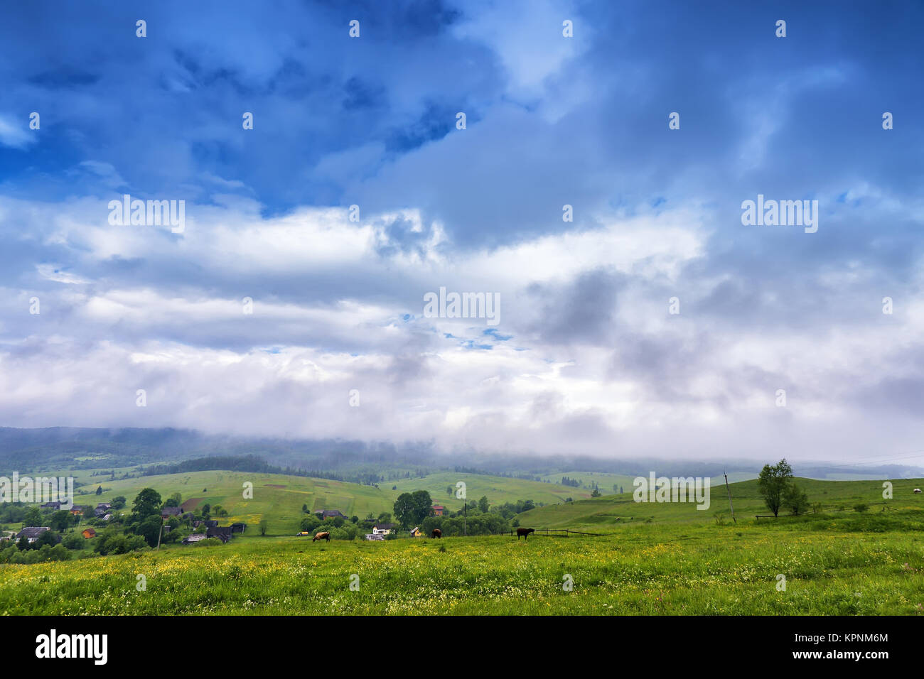 Clouds and fog after spring rain Stock Photo - Alamy