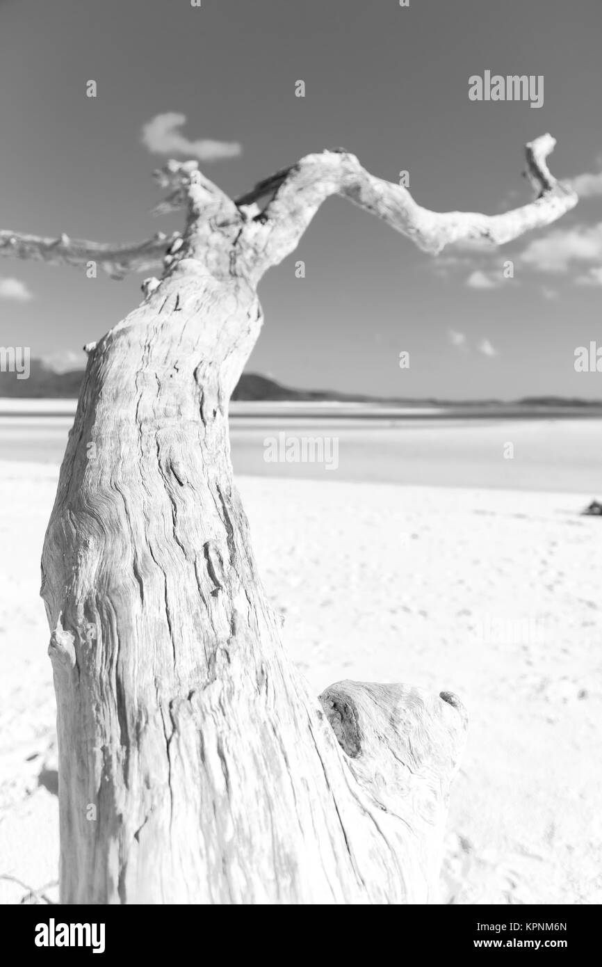 Australia queensland whitehaven beach whitsunday Black and White Stock ...