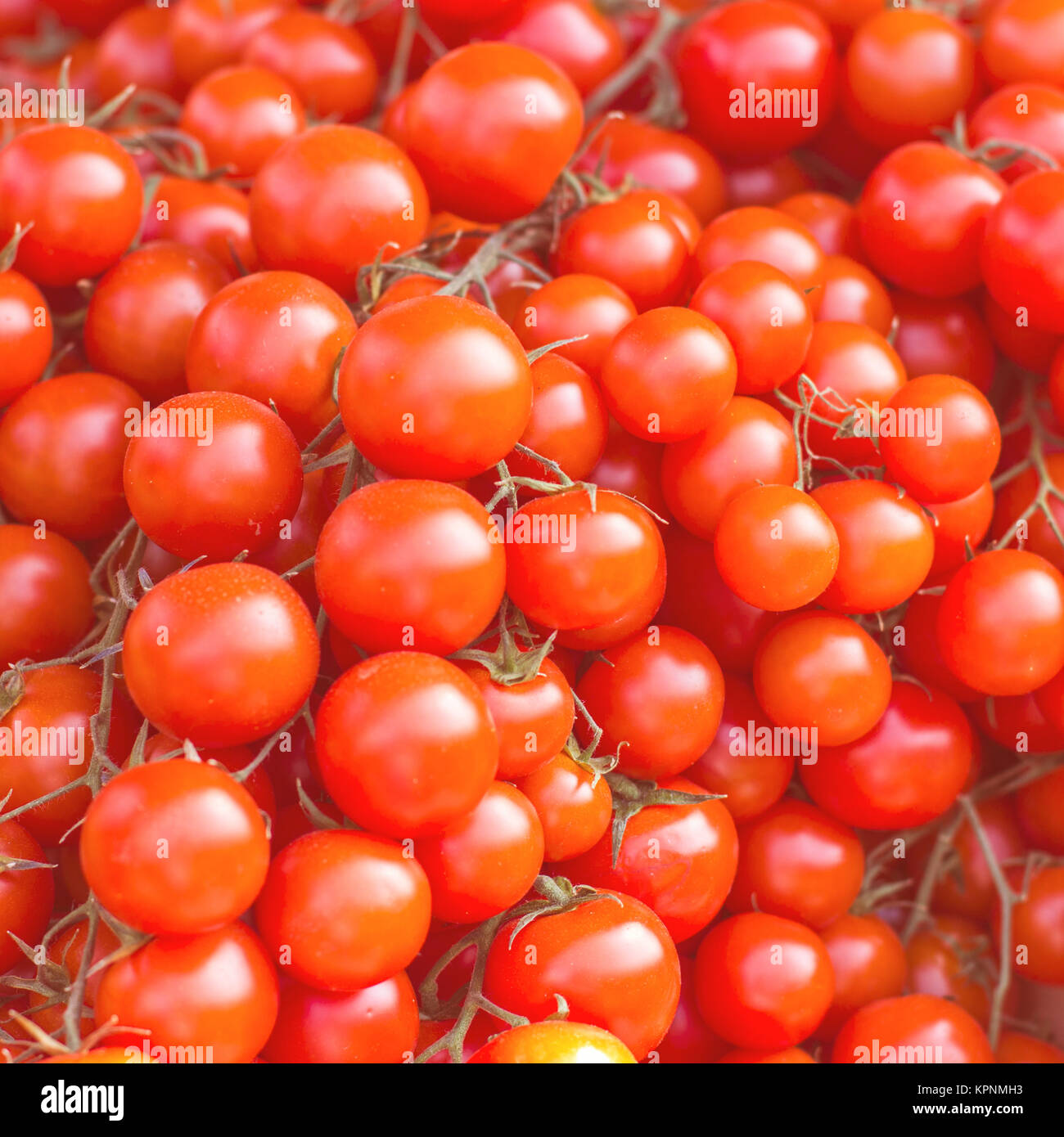 Fresh Cherry Tomatoes Stock Photo - Alamy