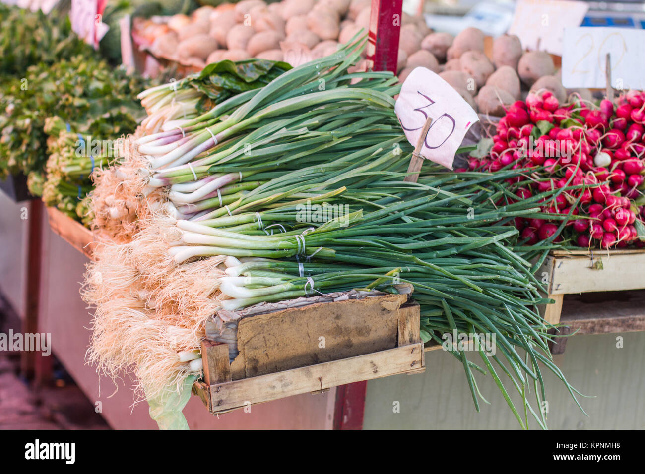 The flea hop hi-res stock photography and images - Alamy