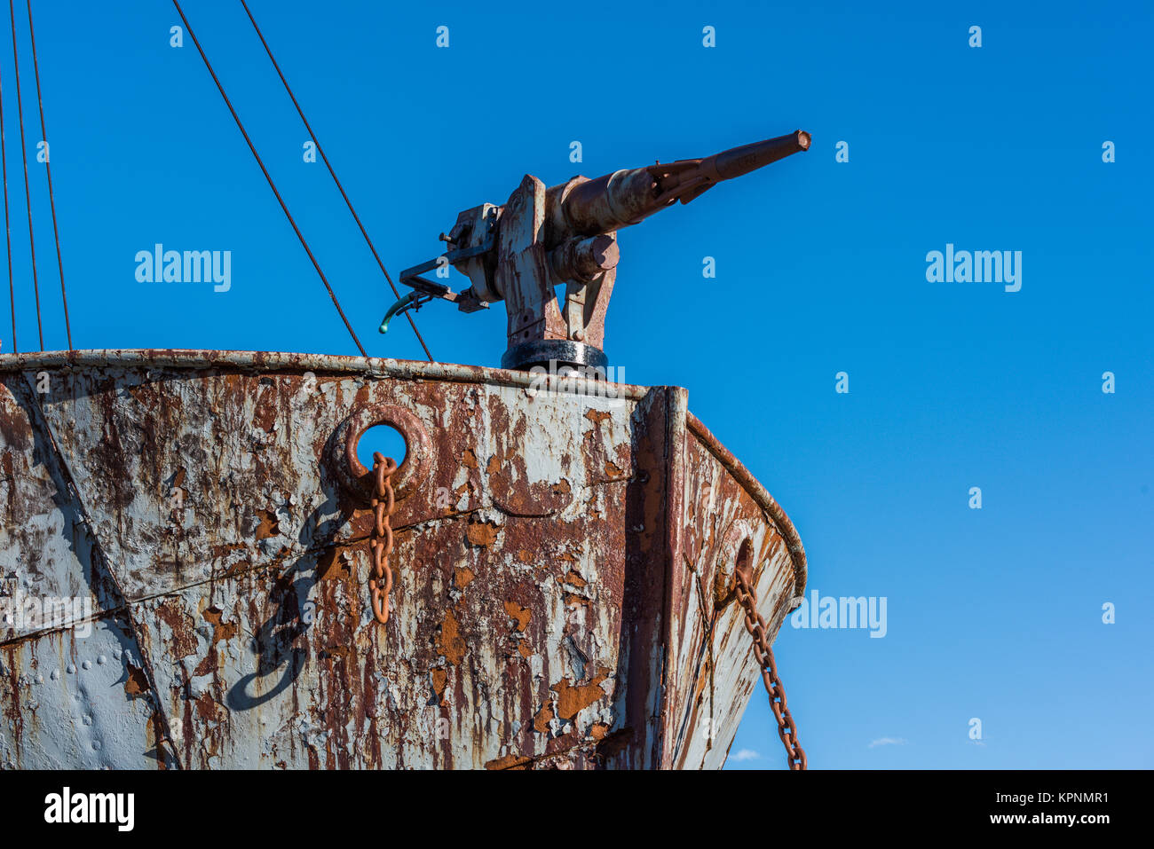 Harpoon gun hi-res stock photography and images - Alamy