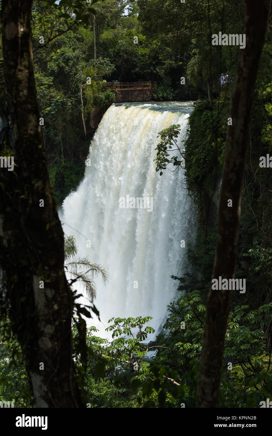 One of Iguazu waterfalls seen between trees Stock Photo - Alamy