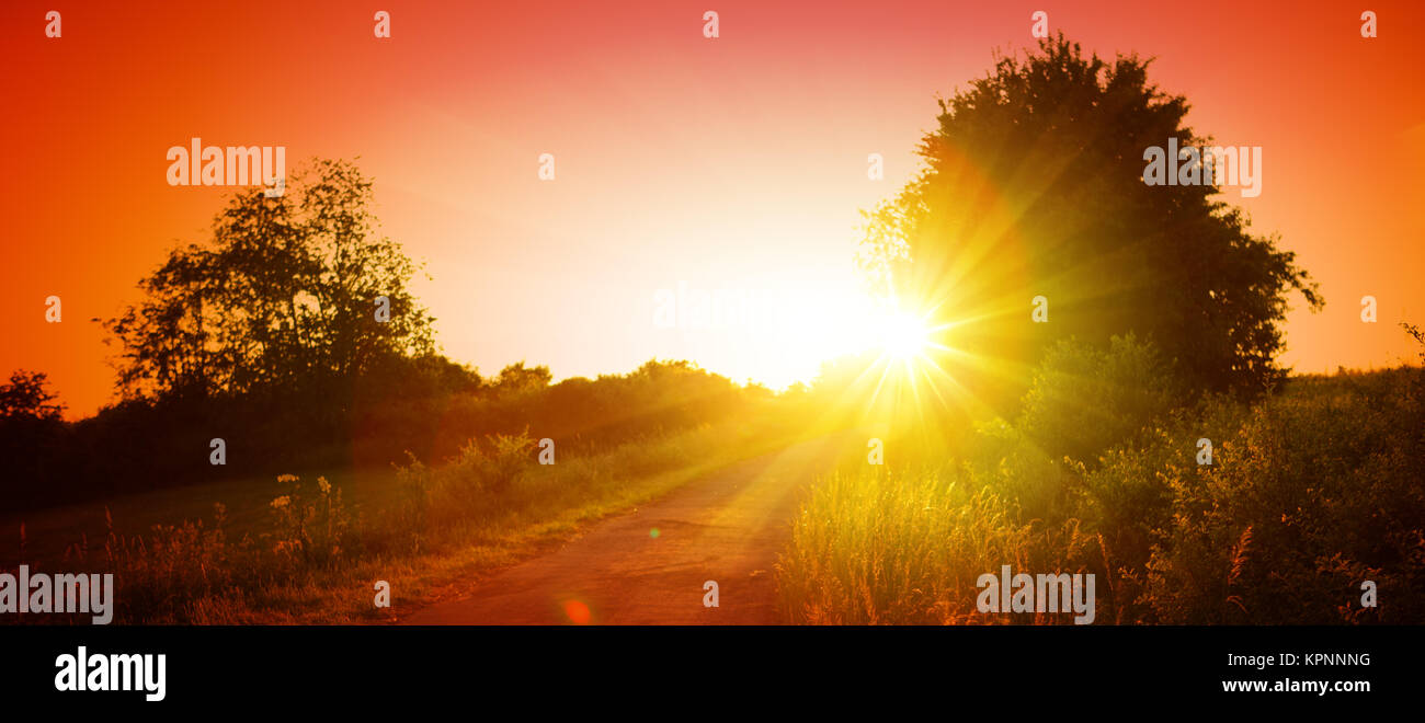 Sunset in German summer landscape.Colorful summer sunset and trees ...