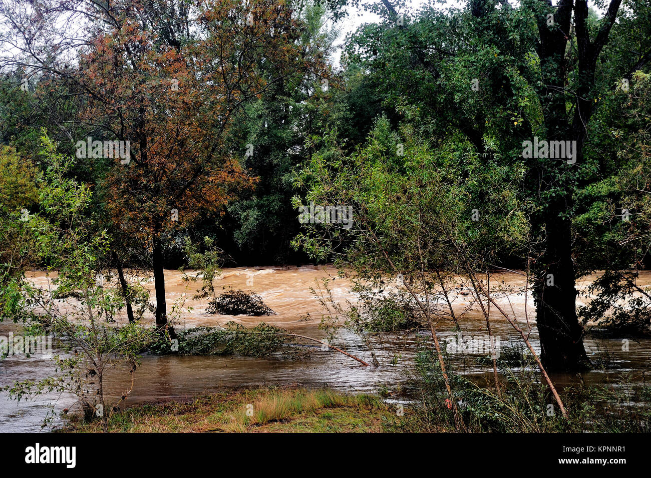 Weather rain raining river flood flooding floods danger water hi-res ...