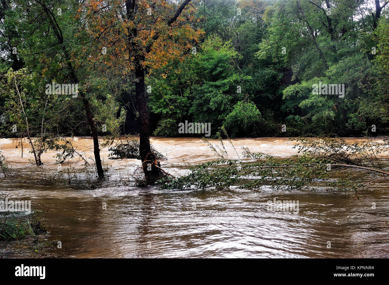 Weather rain raining river flood flooding floods danger water hi-res ...