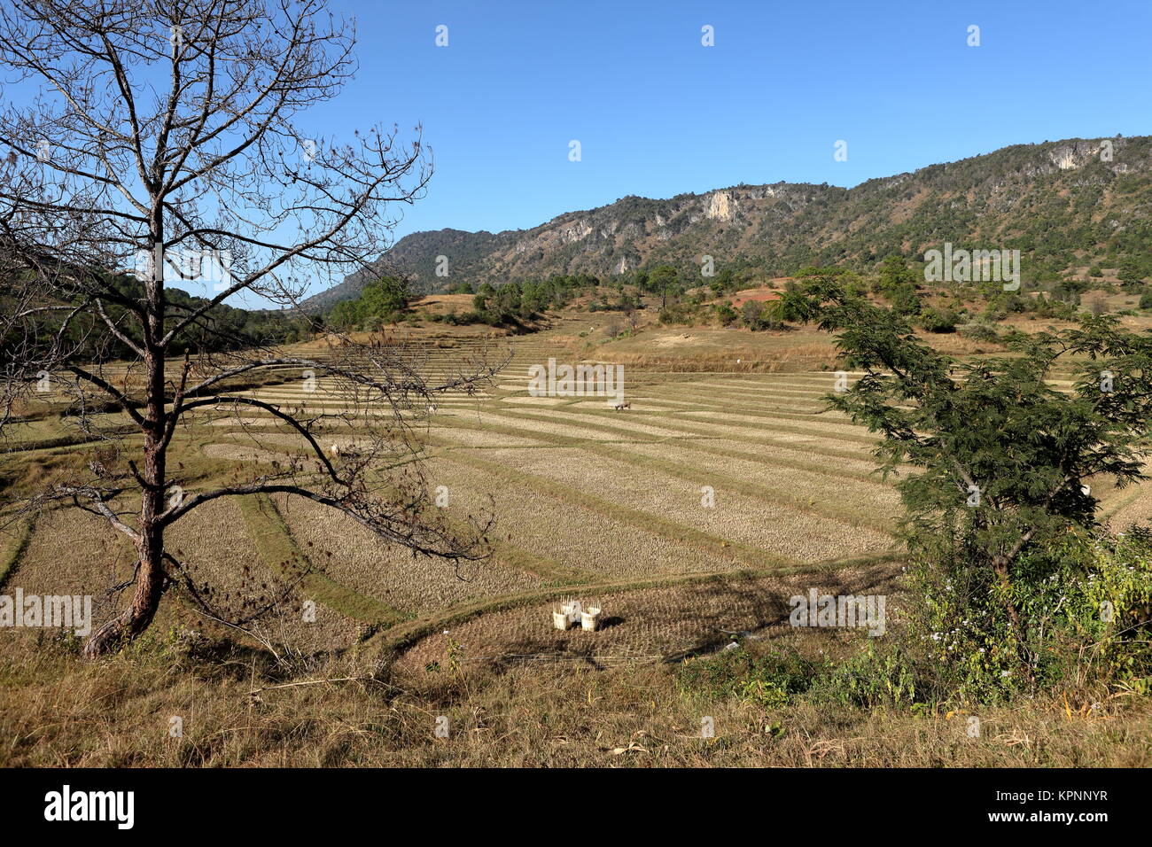 Landscapes of Myanmar Stock Photo - Alamy