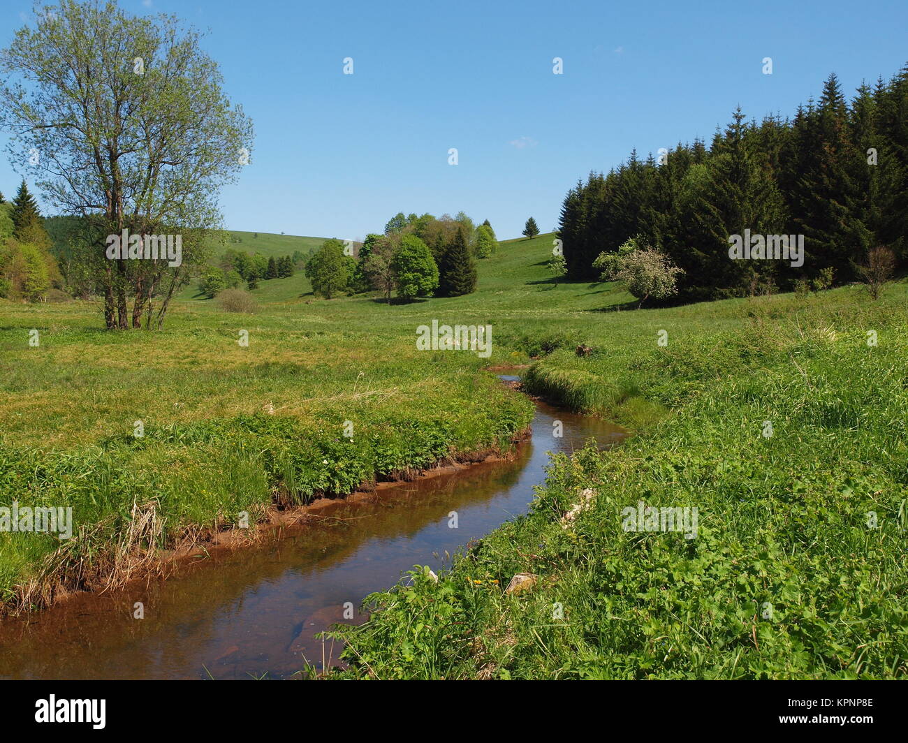 oberes Muldental bei Holzhau Stock Photo - Alamy