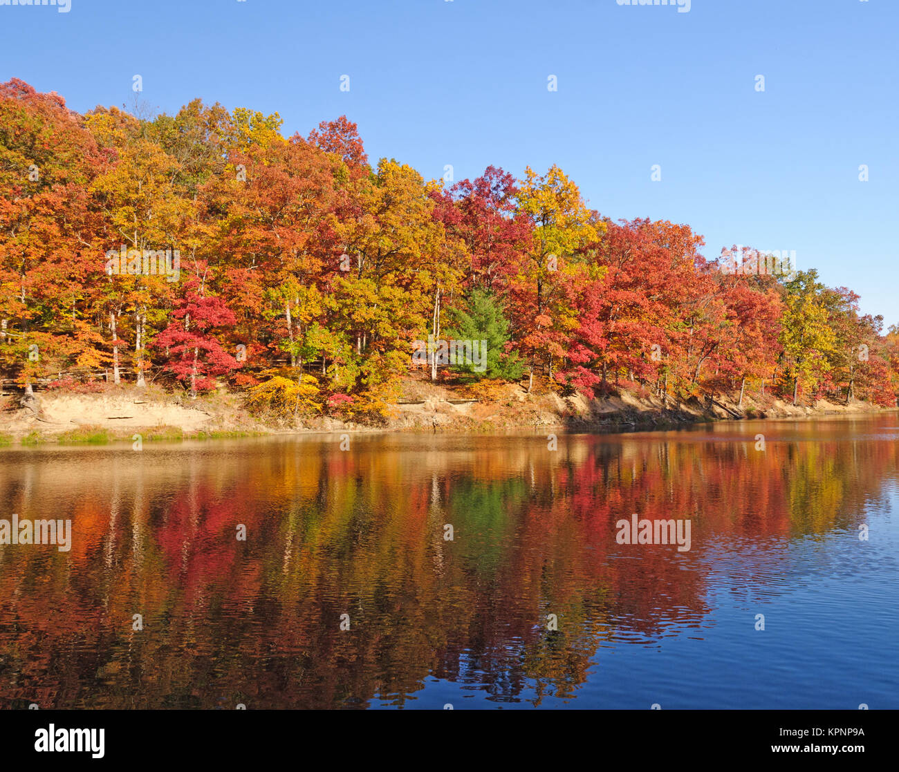 Indiana fall foliage water reflection hi-res stock photography and ...
