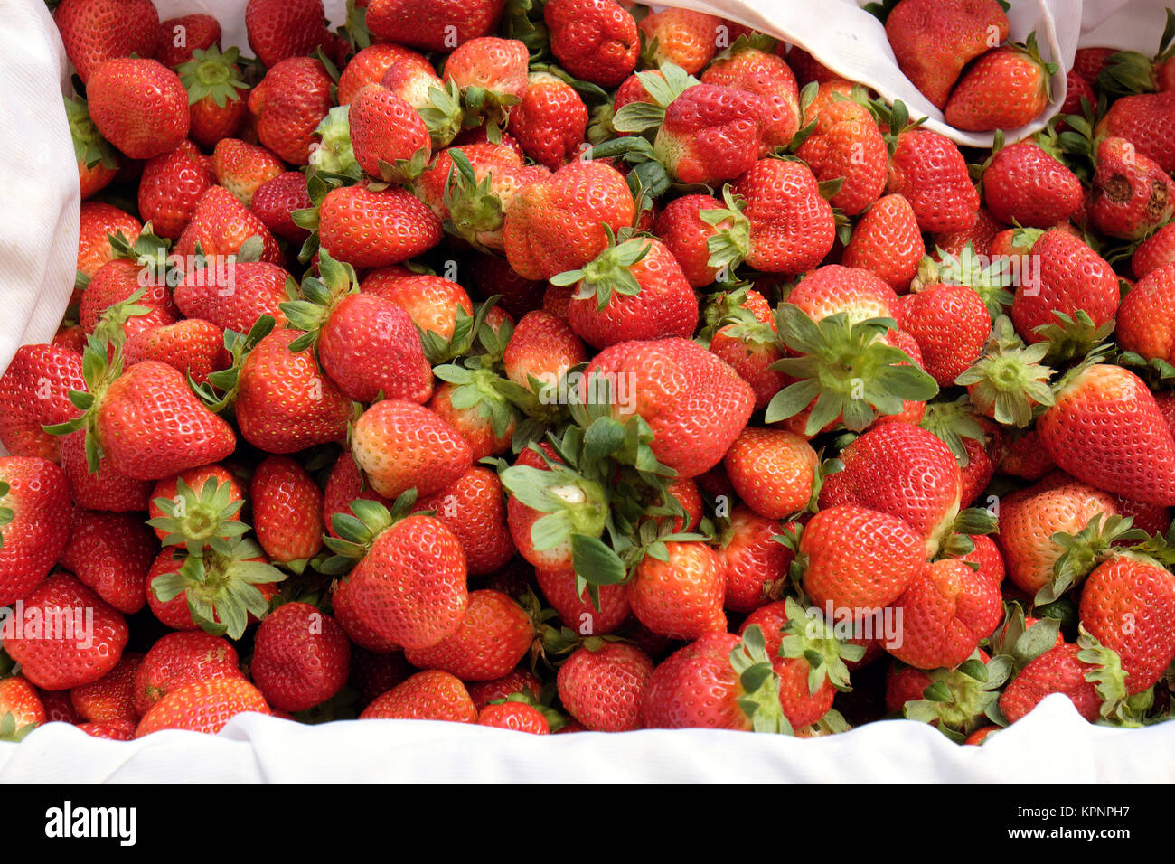 Dalat strawberry hi-res stock photography and images - Alamy