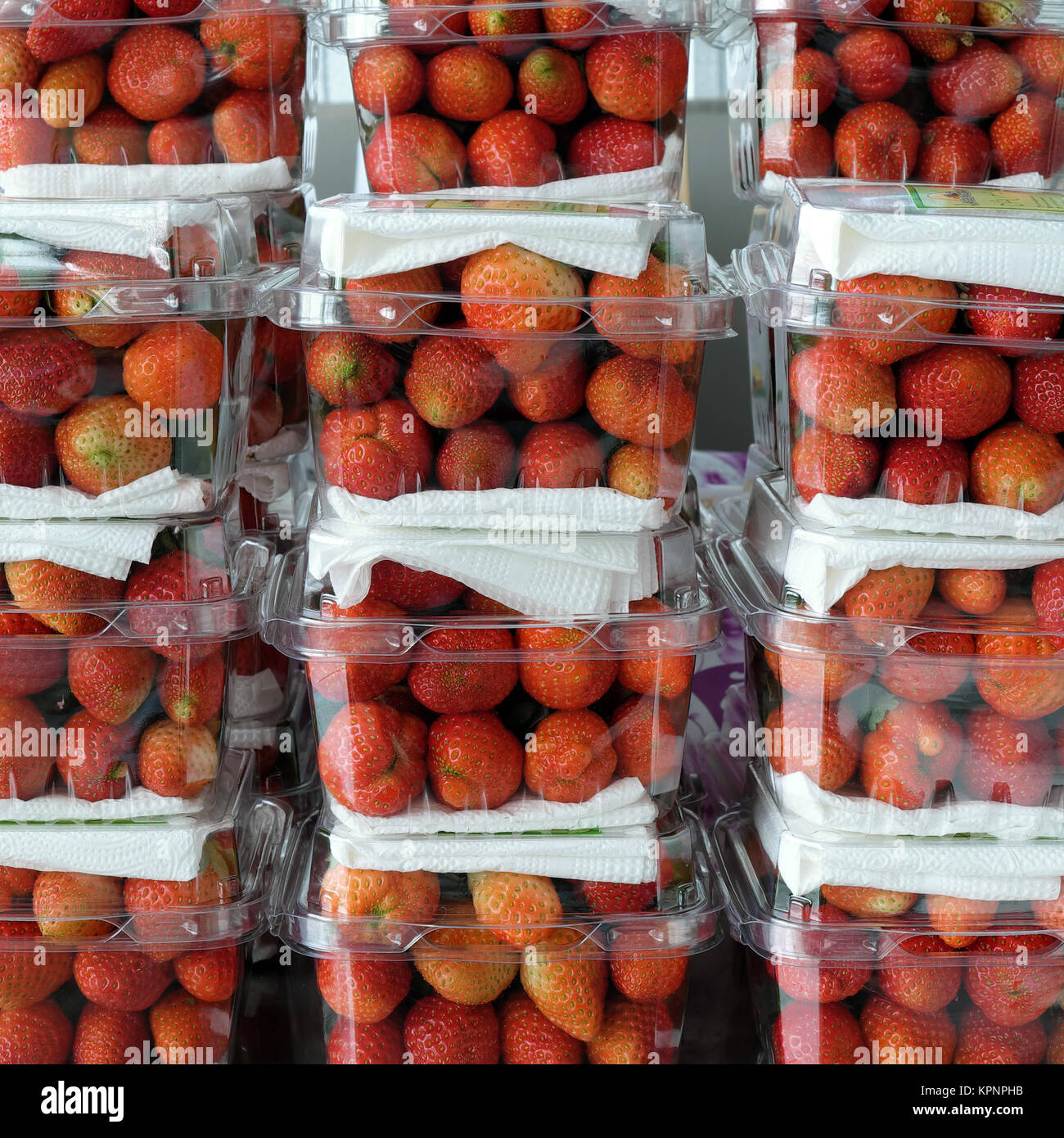 strawberry,Da Lat, dalat, fruit, agriculture Stock Photo - Alamy