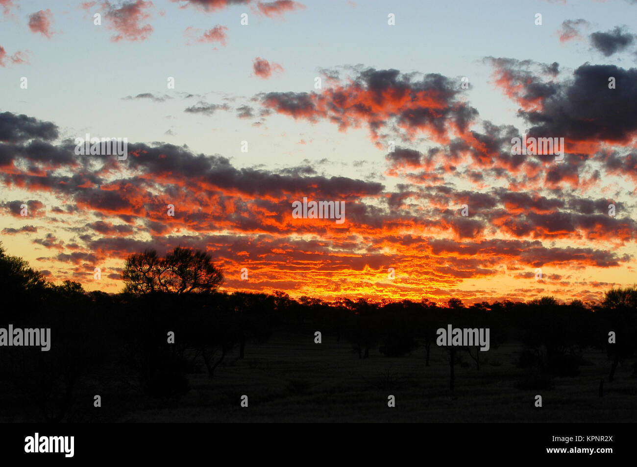 sunset in the Australian bush Stock Photo - Alamy