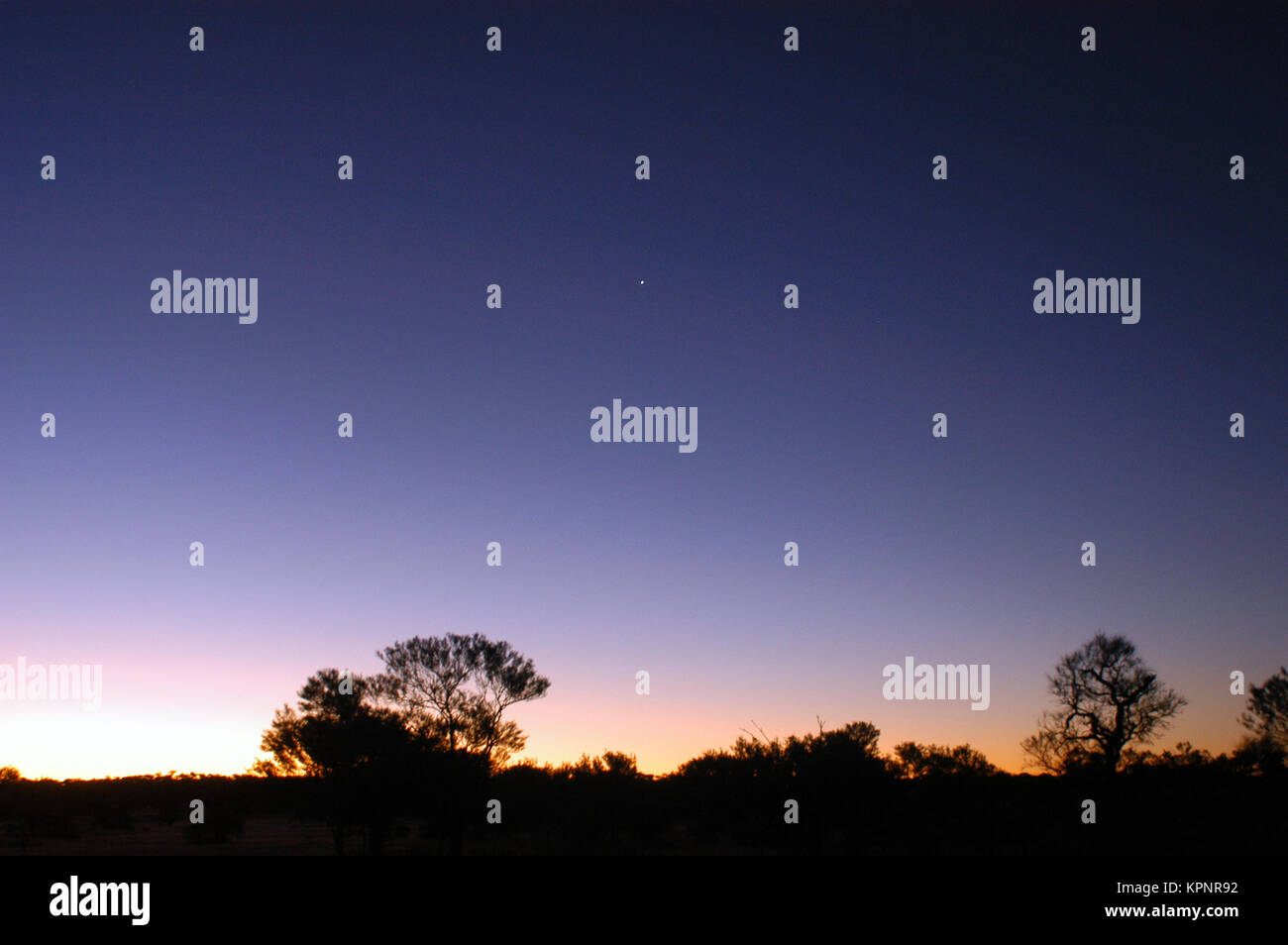 sunset in the Australian bush Stock Photo - Alamy