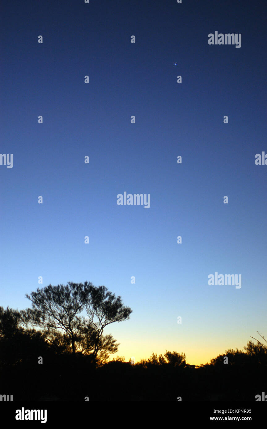sunset in the Australian bush Stock Photo - Alamy