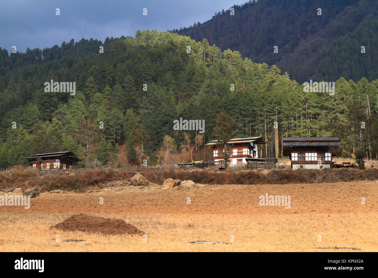 Bhutanese style houses hi-res stock photography and images - Alamy