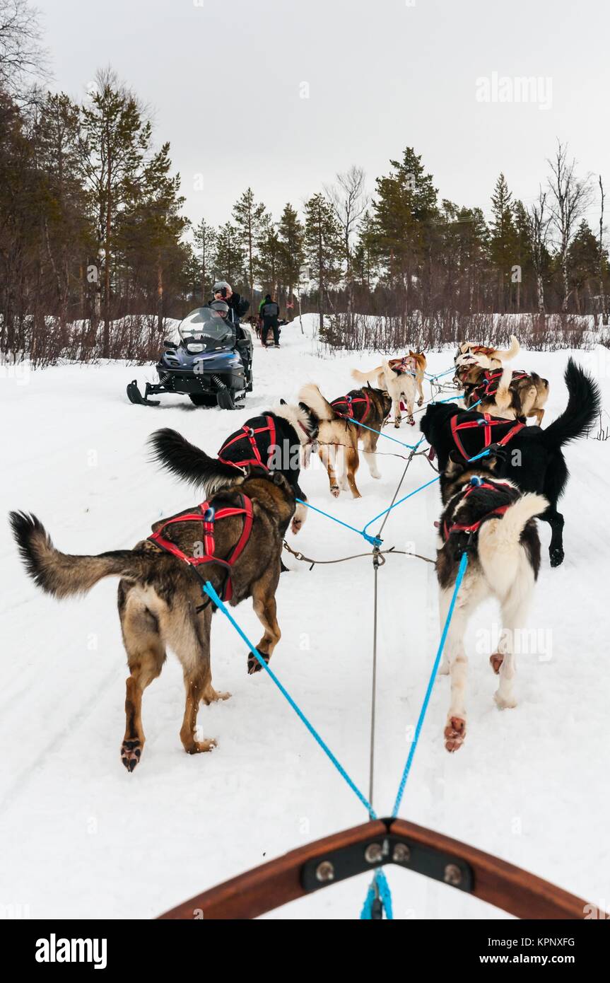 hundreds against horse stables Stock Photo - Alamy