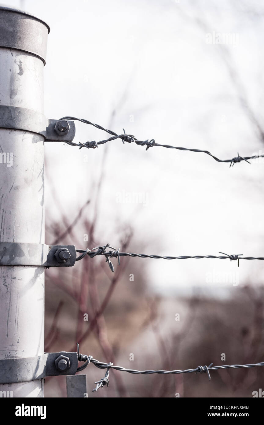 Three barb wires attached to metal fence post Stock Photo - Alamy