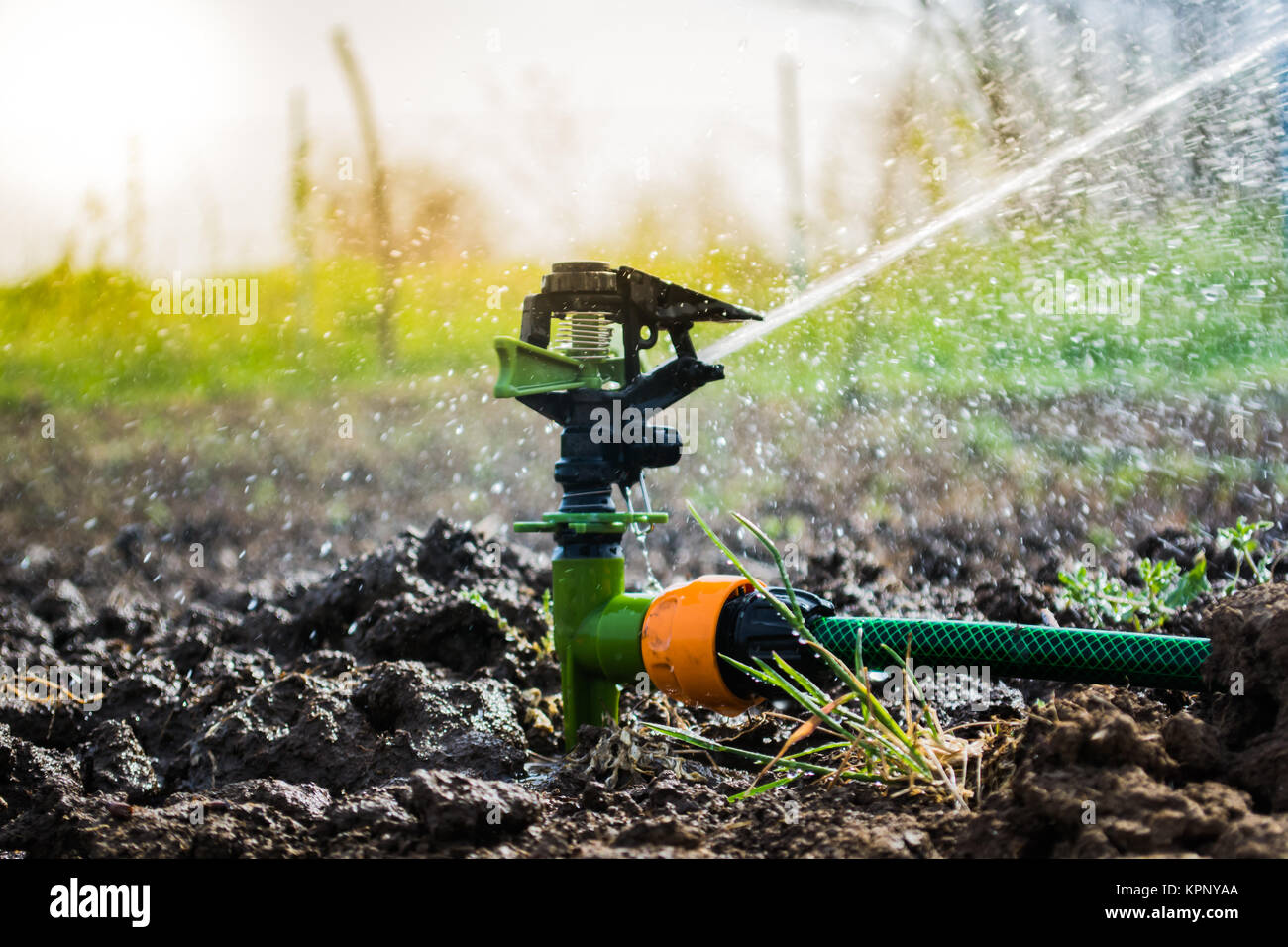 Closeup of sprinkler Stock Photo - Alamy