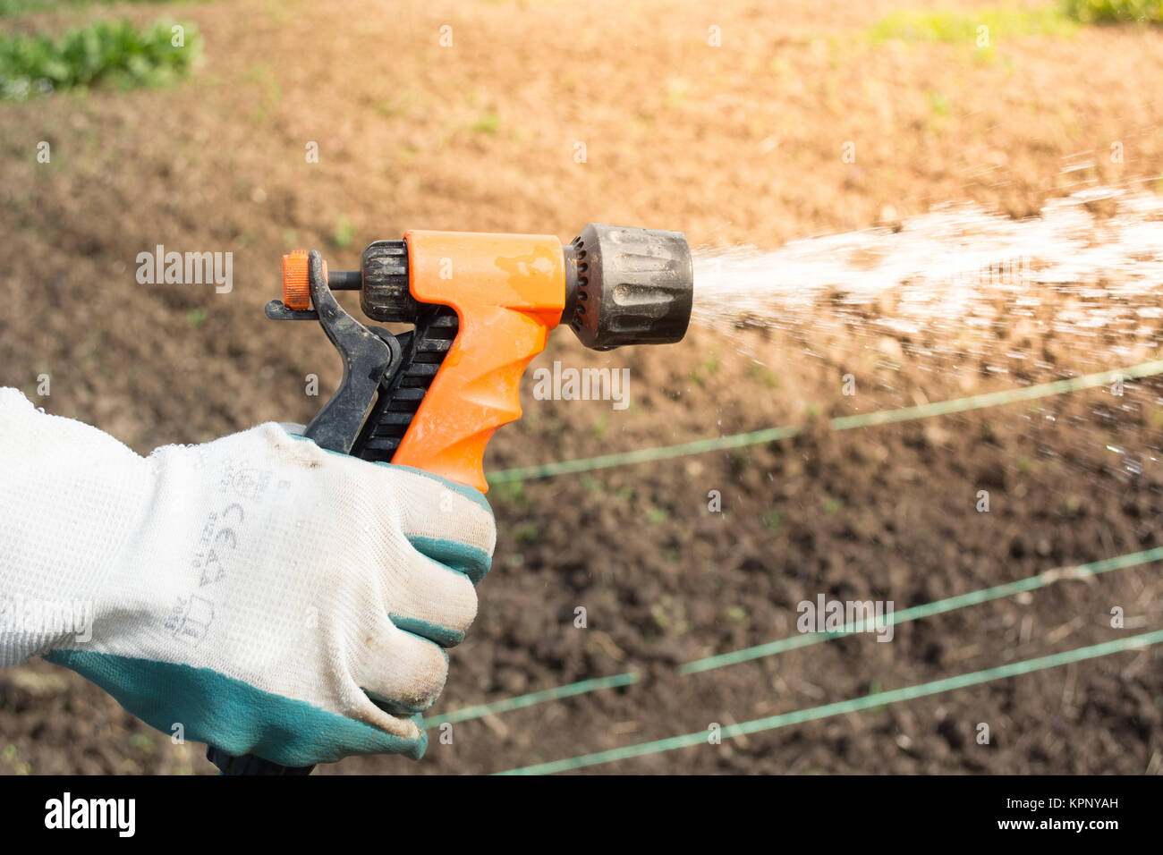 Watering crops on the field Stock Photo - Alamy