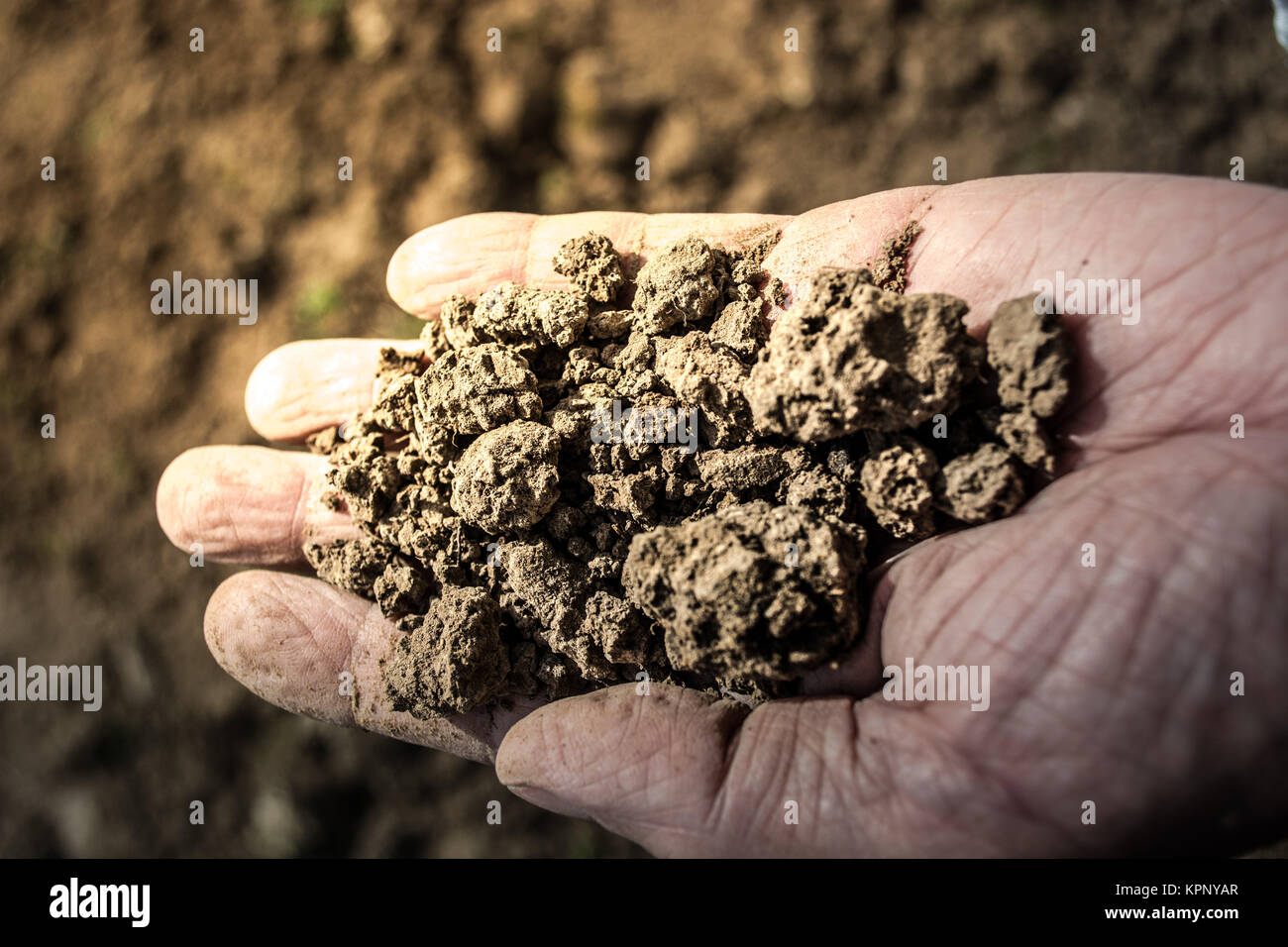 Hand with soil Stock Photo - Alamy