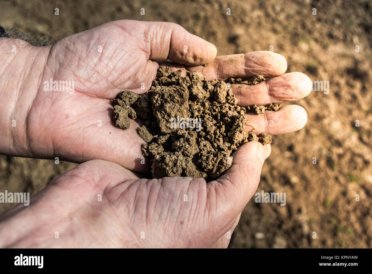 Hands with soil Stock Photo - Alamy