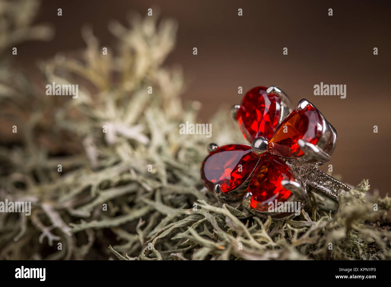 Cup ring stone hi-res stock photography and images - Alamy
