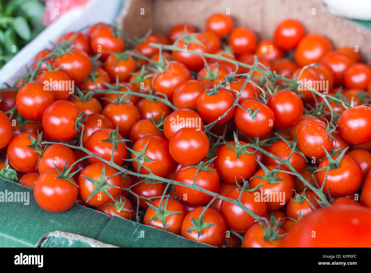 Fresh Cherry Tomatoes Stock Photo - Alamy