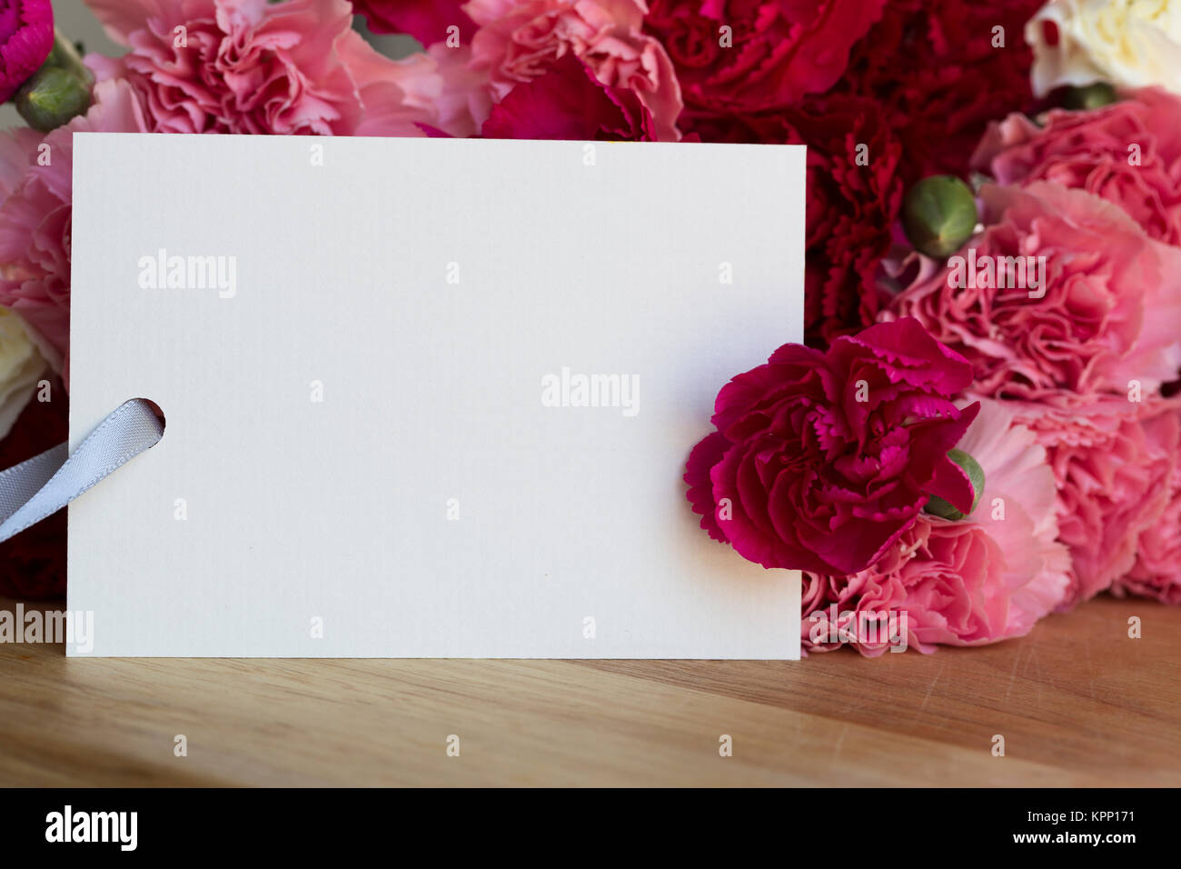 Carnations and Card for Greeting Stock Photo - Alamy