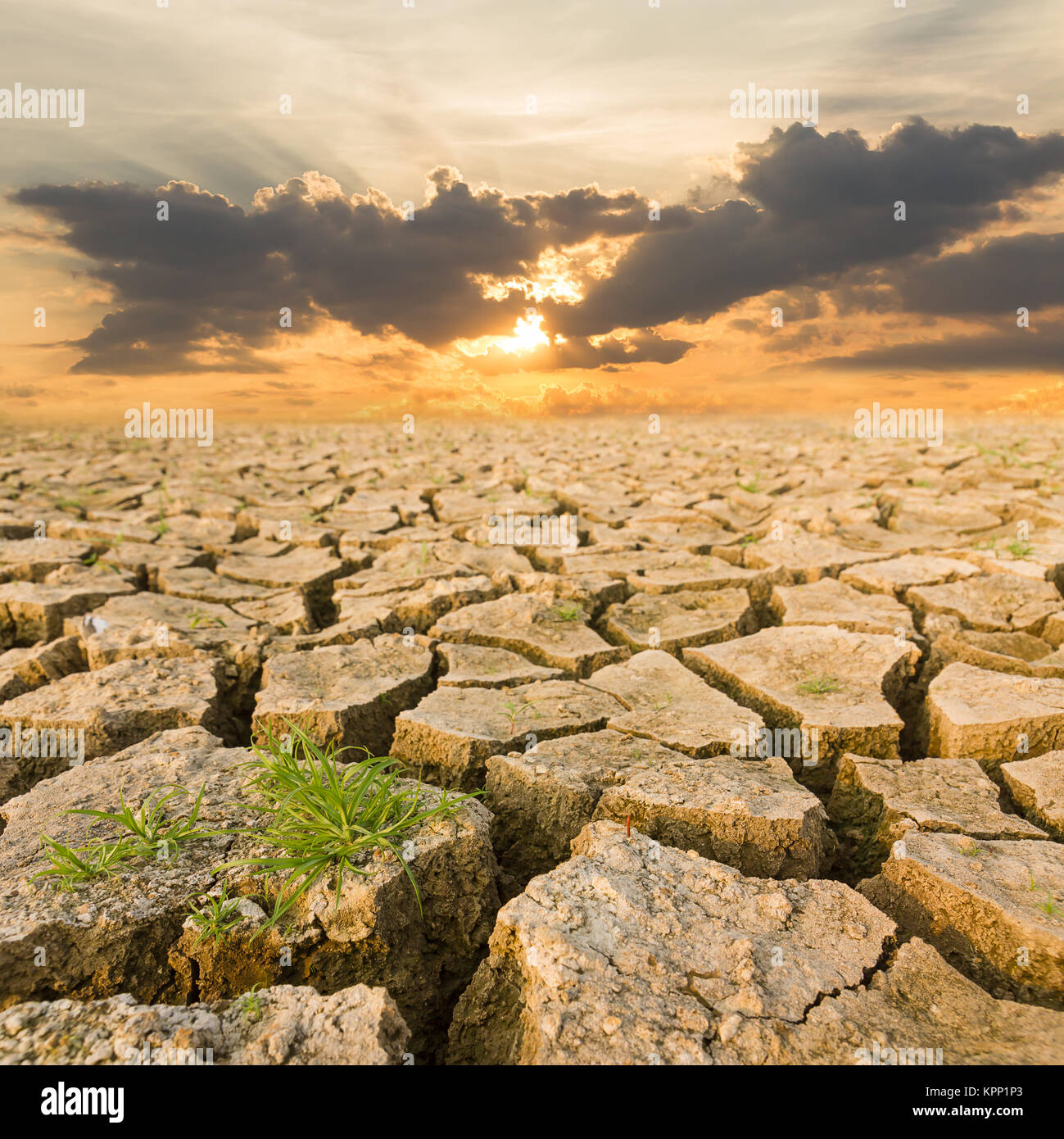 Drought land under the evening sunset Stock Photo - Alamy