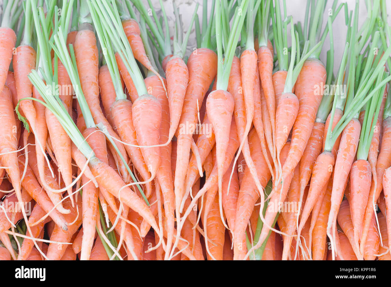 Fresh baby carrots bunch on sell Stock Photo - Alamy