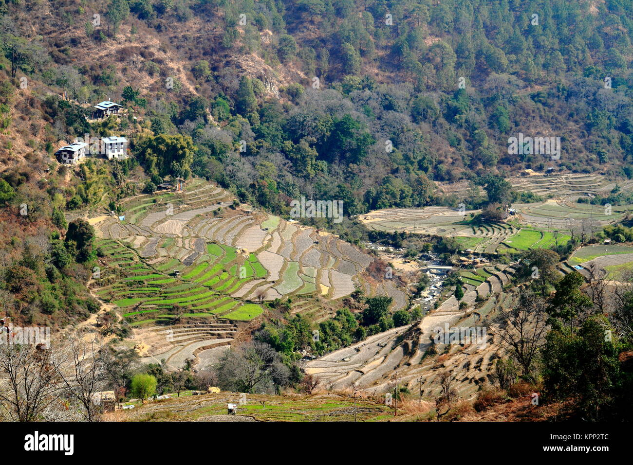 Wangdue phodrang dzong hi-res stock photography and images - Alamy