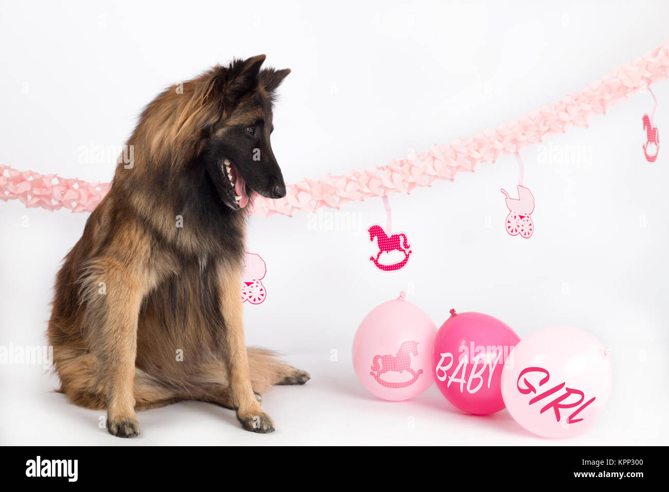 Congratulations balloon baby High Resolution Stock Photography and ...