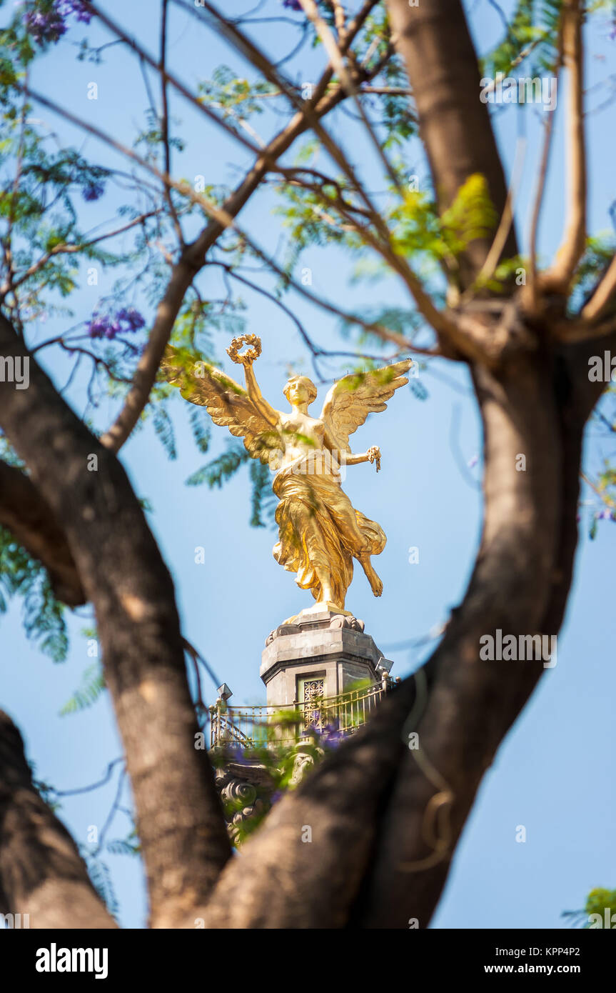 Angel of Independence Stock Photo - Alamy