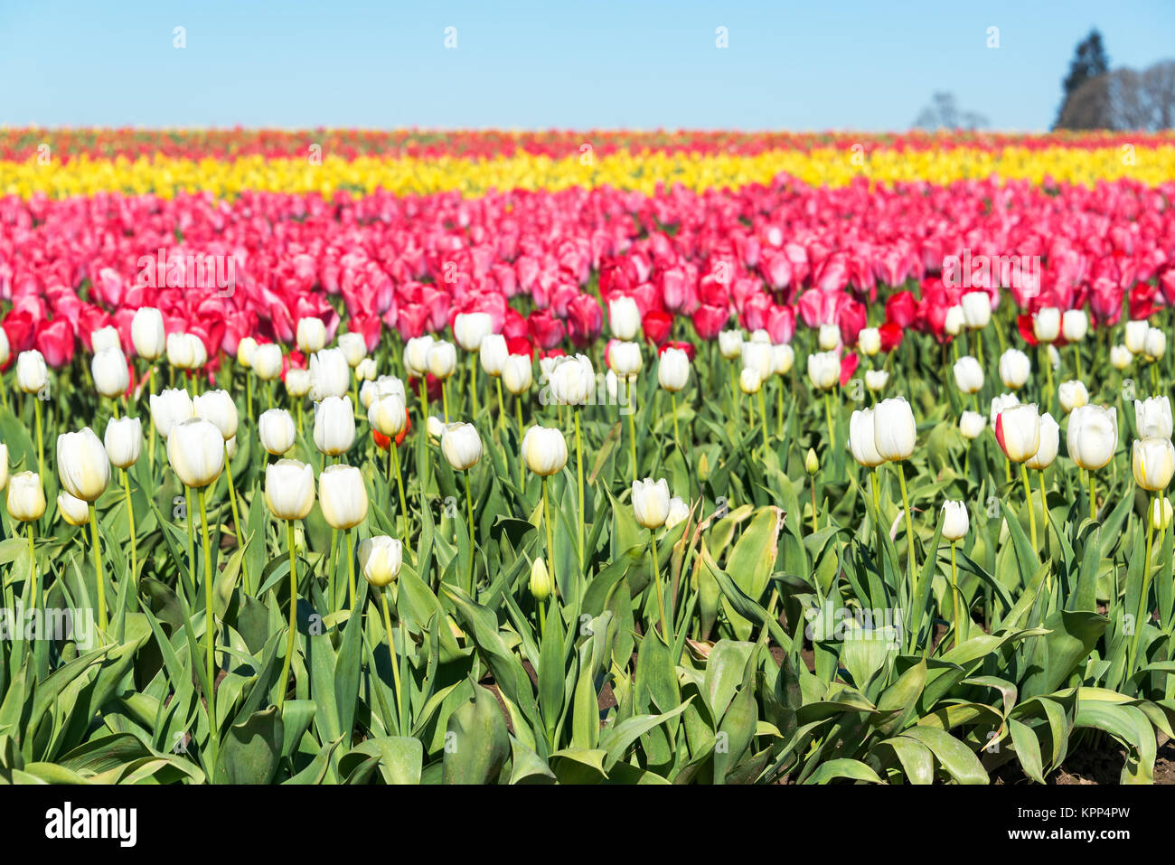 Field farm nobody firmament hi-res stock photography and images - Alamy