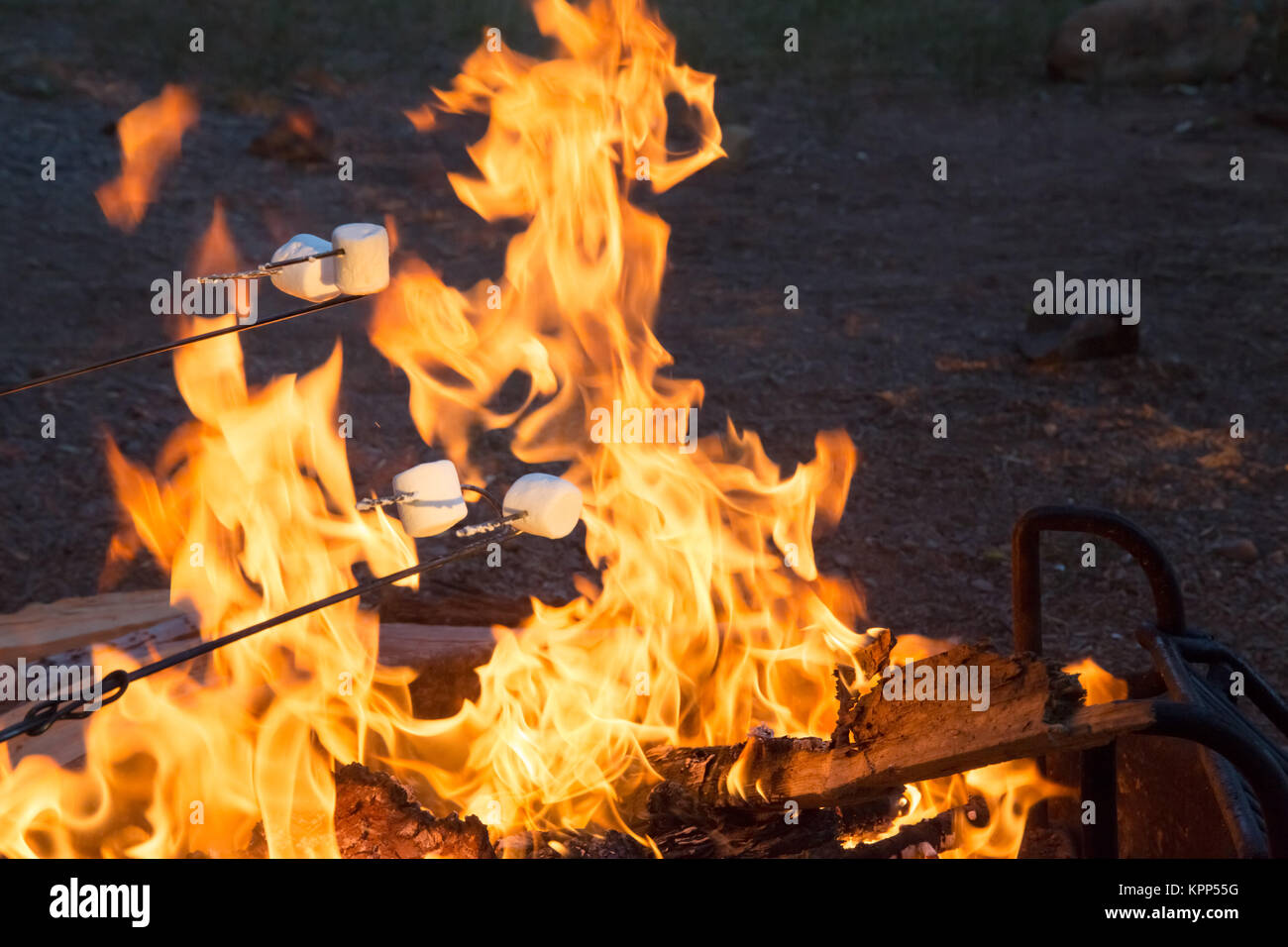 Camping food marshmallow Stock Photo - Alamy