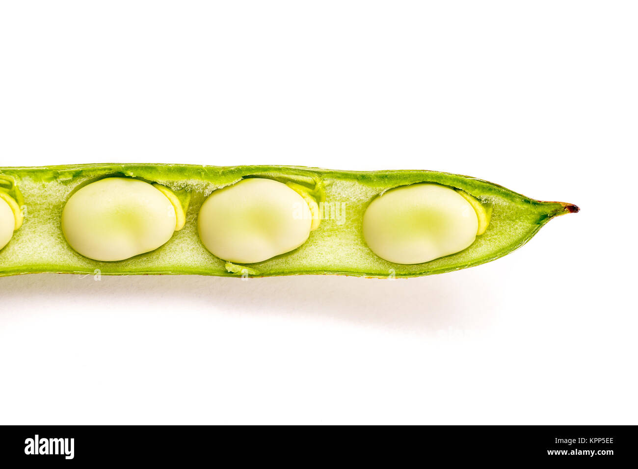 Broad Beans in pod Stock Photo - Alamy
