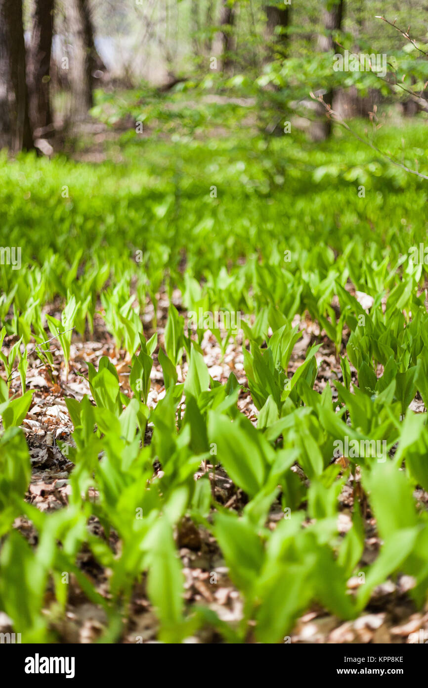 The ransom hi-res stock photography and images - Alamy