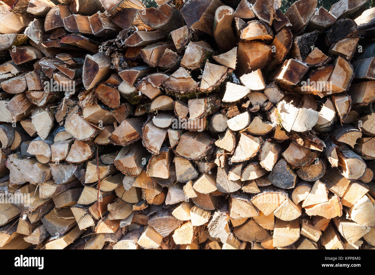 Stack of fire wood in sunlight Stock Photo - Alamy