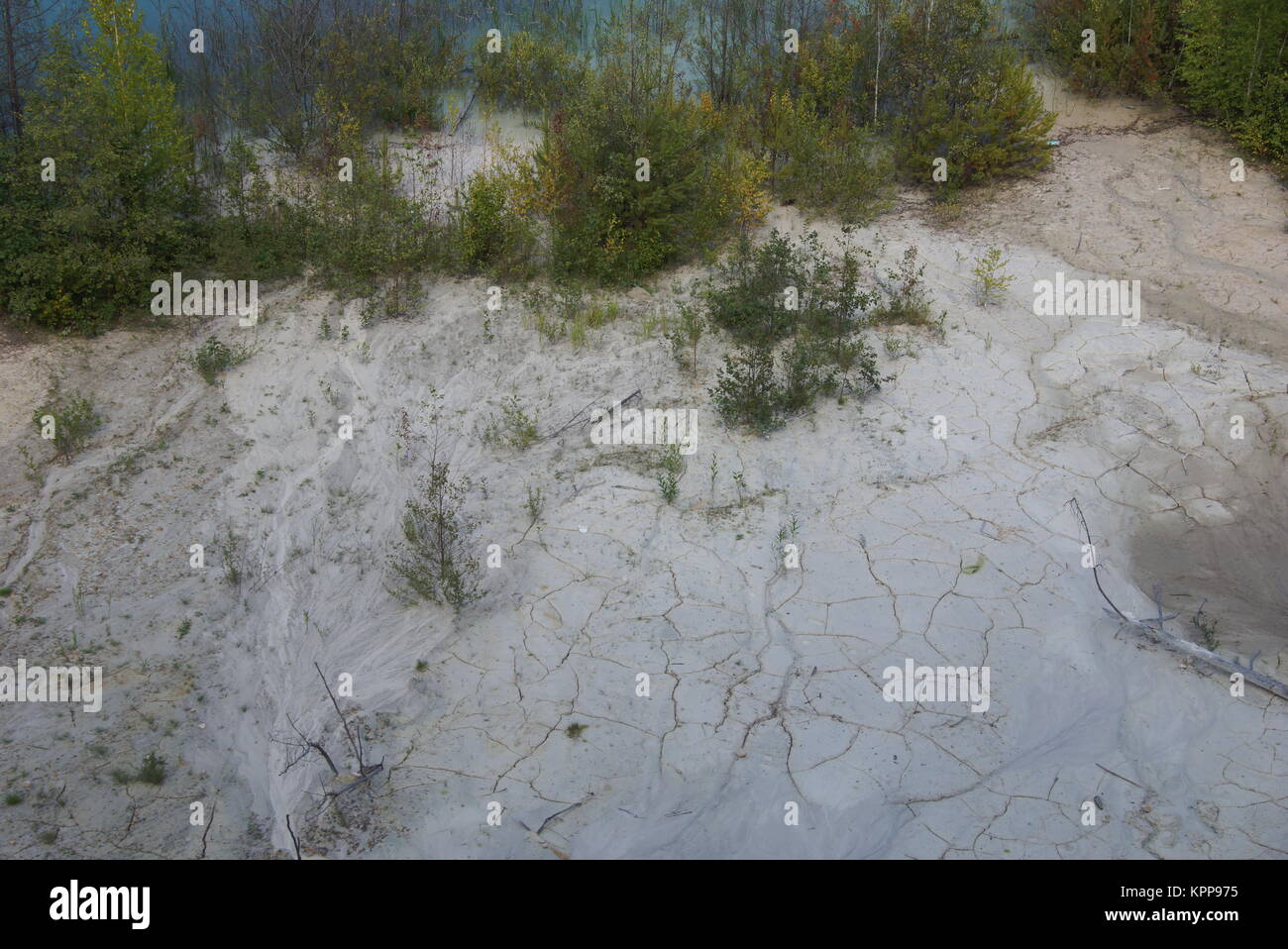 Blue and green - beautiful russian nature Stock Photo - Alamy